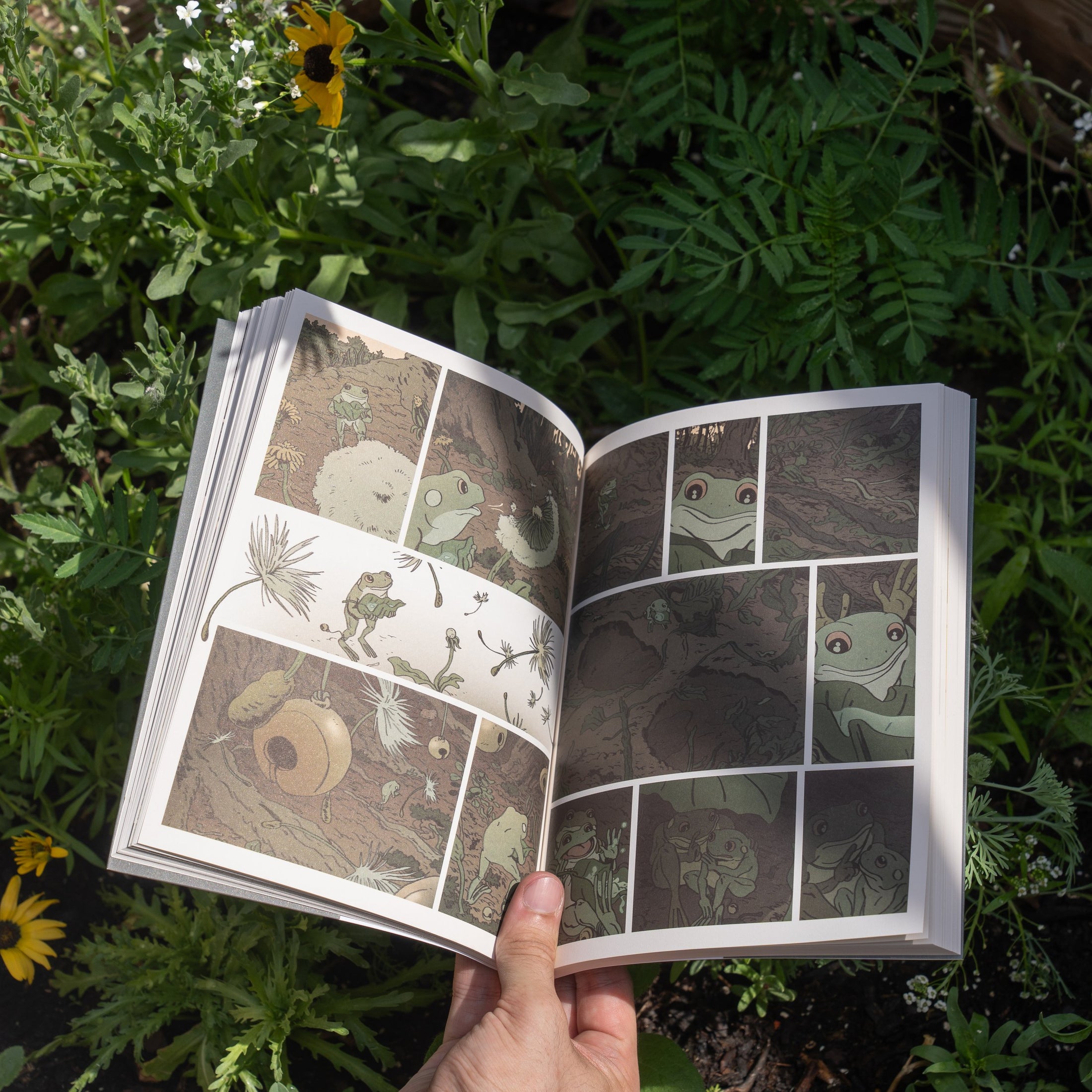 The Council of Frogs – Second At Best Press